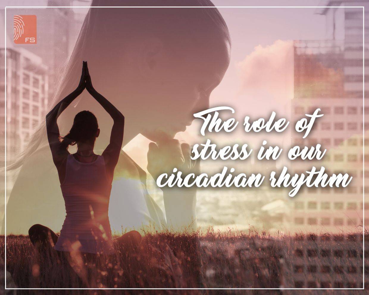 The role of stress in our circadian rhythm - Functional Self AU